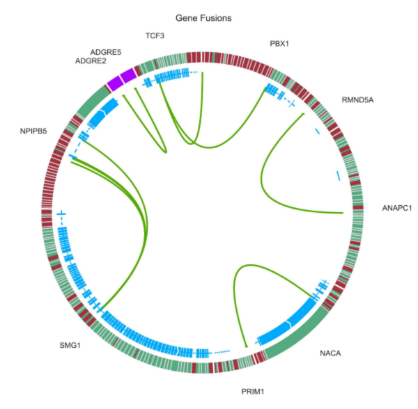 Newsletter: Exploring next steps in cancer precision diagnostics using ...