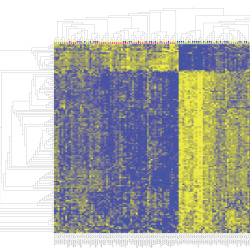 Gene expression | Qlucore